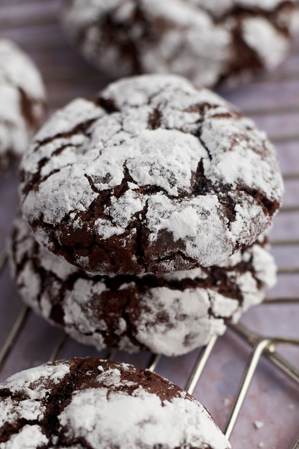 Chocolate Crinkle Cookies Recipe