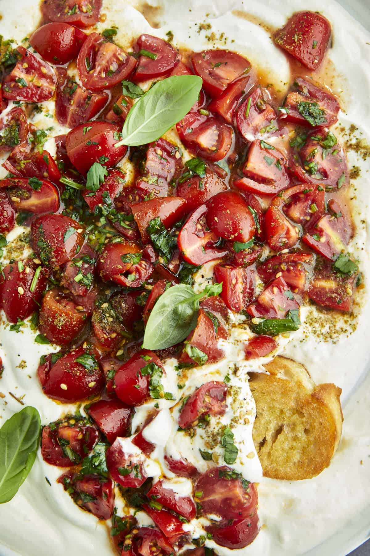 Cottage Cheese Recipes