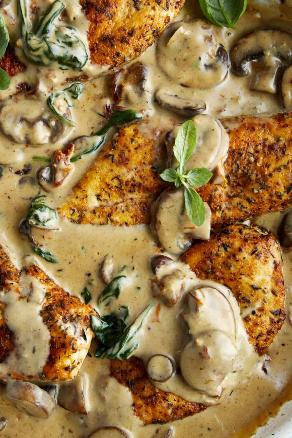 Creamy Mushroom Chicken Recipe - Food Dolls
