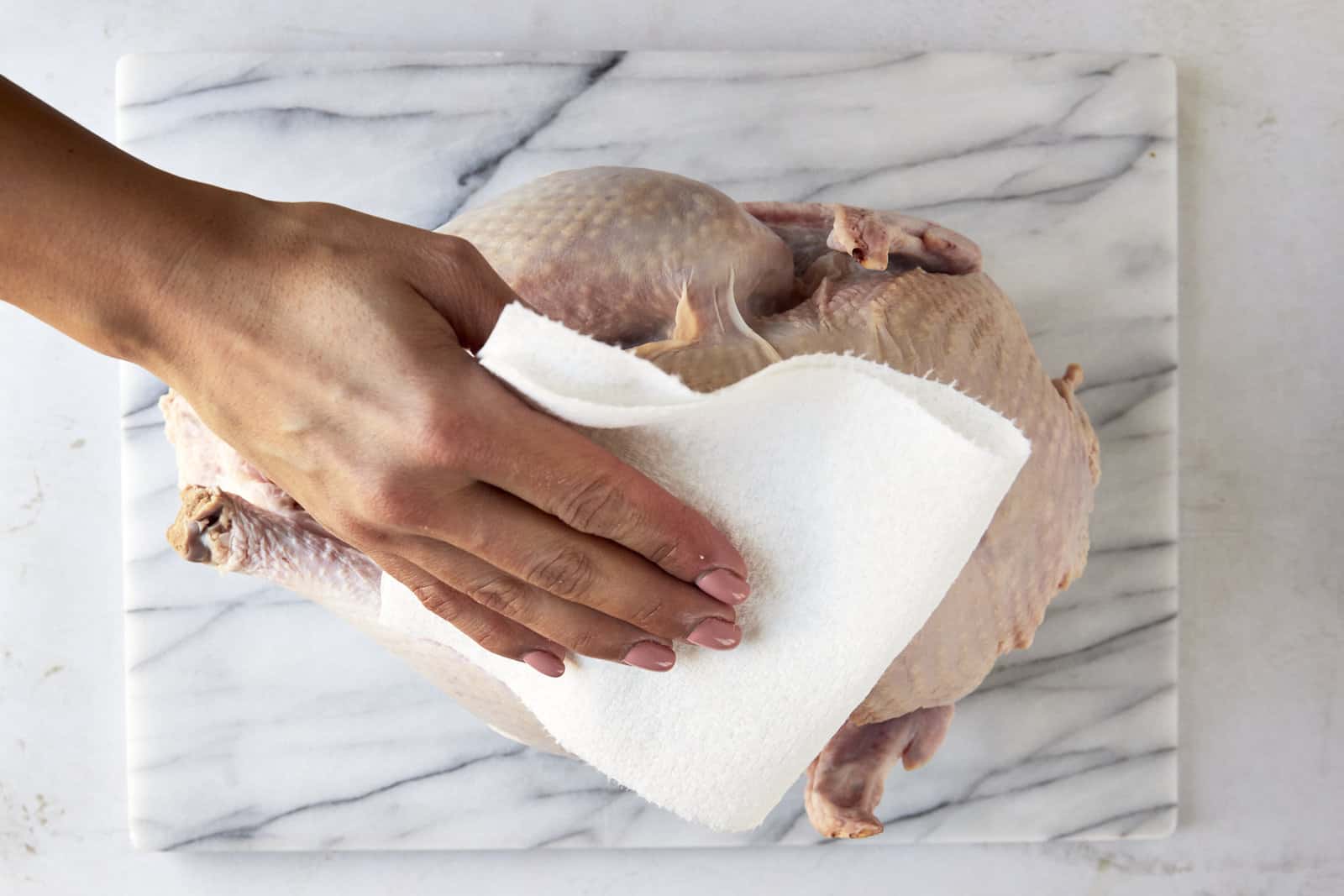 The Best Thanksgiving Turkey Recipe - Food Dolls